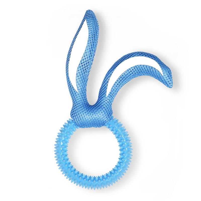 Explore the Best Pet Accessories Online with All Pets Company | by ...