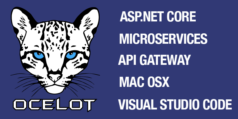 Microservices API Gateways — Ocelot for .NET Core + Video | by Anup ...