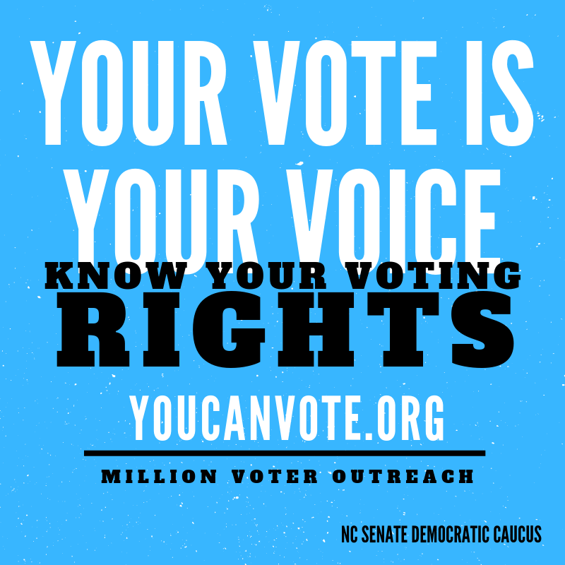 Million Voter Outreach. Senator Mujtaba Mohammed — District 38… | by NC Senate Democrats | Medium