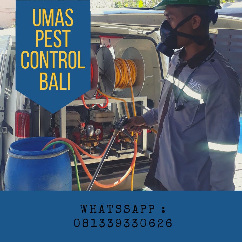 pembasmi081339330626 pest control di bali | by Elony Efrata | Medium