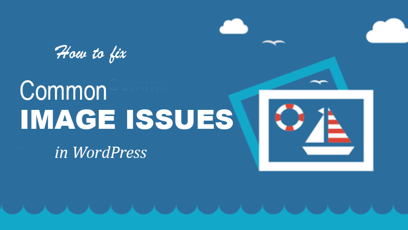 WordPress Error Cropping Images: 2 Easy Solutions | by CeeVeeGlobal ...
