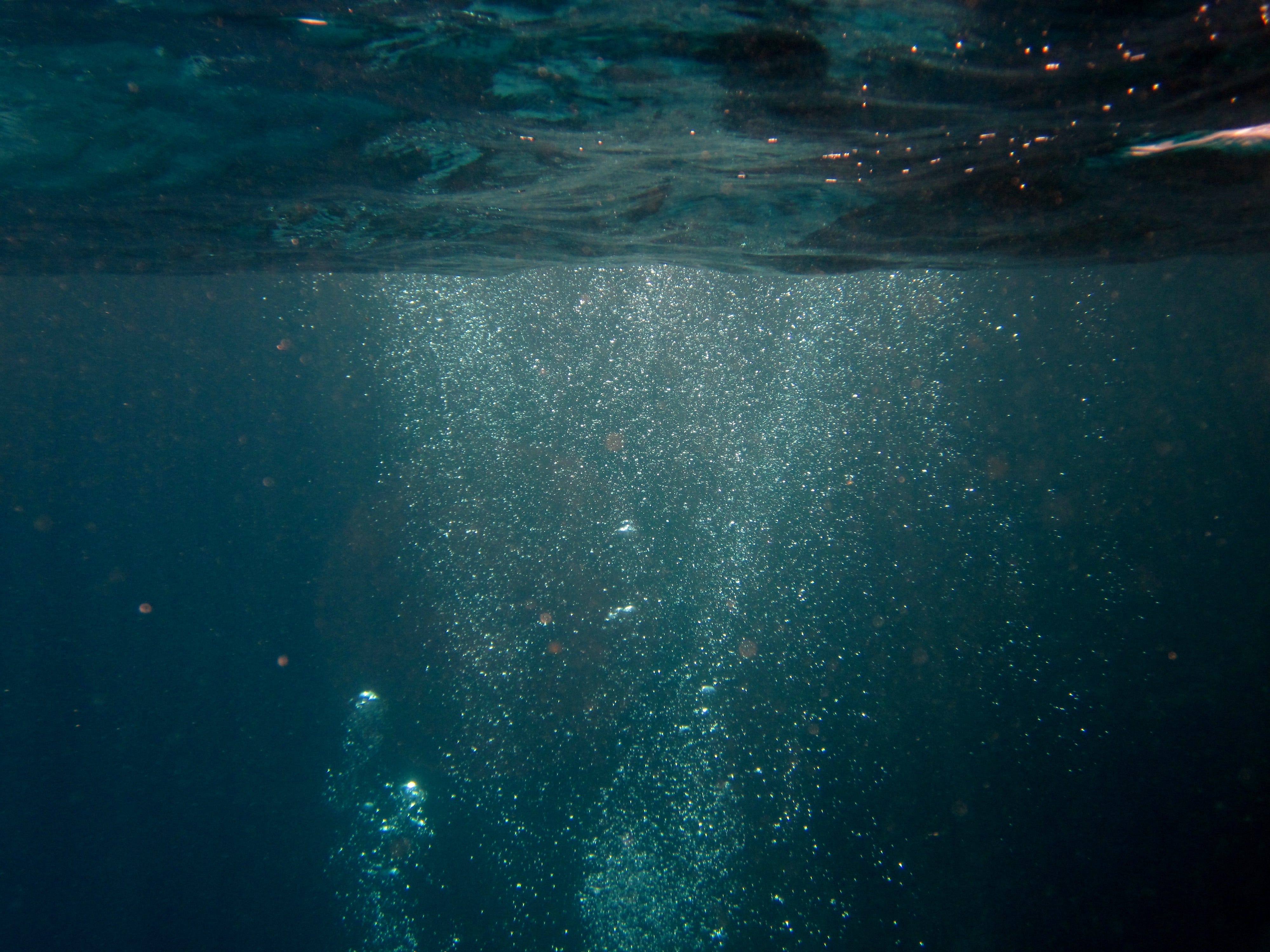 Tumblr Underwater Pictures