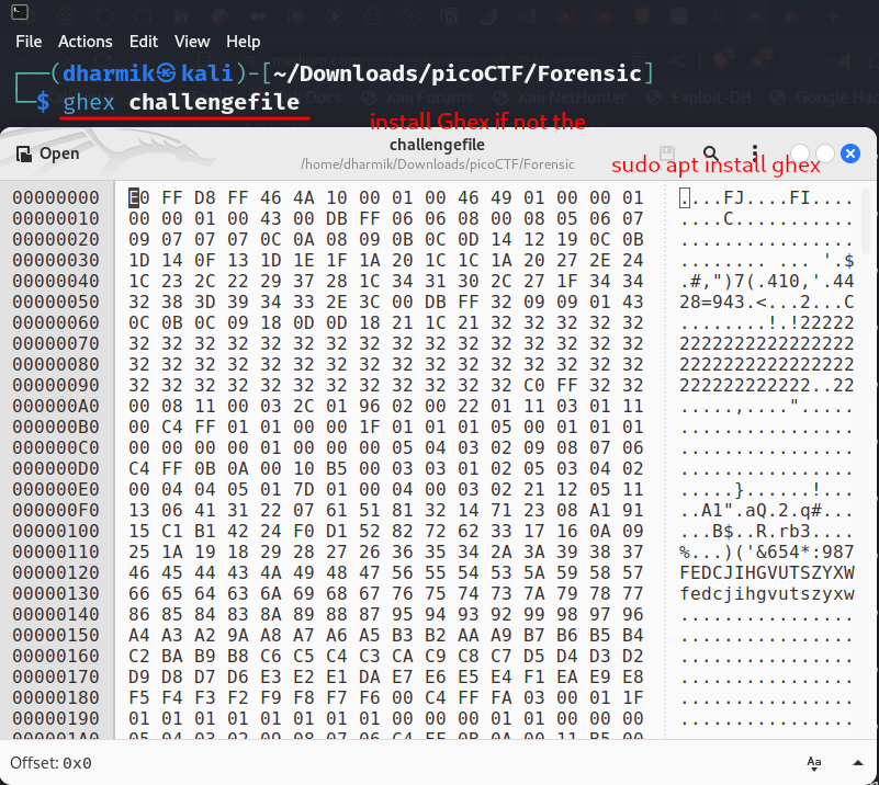 PicoCTF 2024 — endianness-v2. Forensic Category Challenge… | by Sanskar | Medium