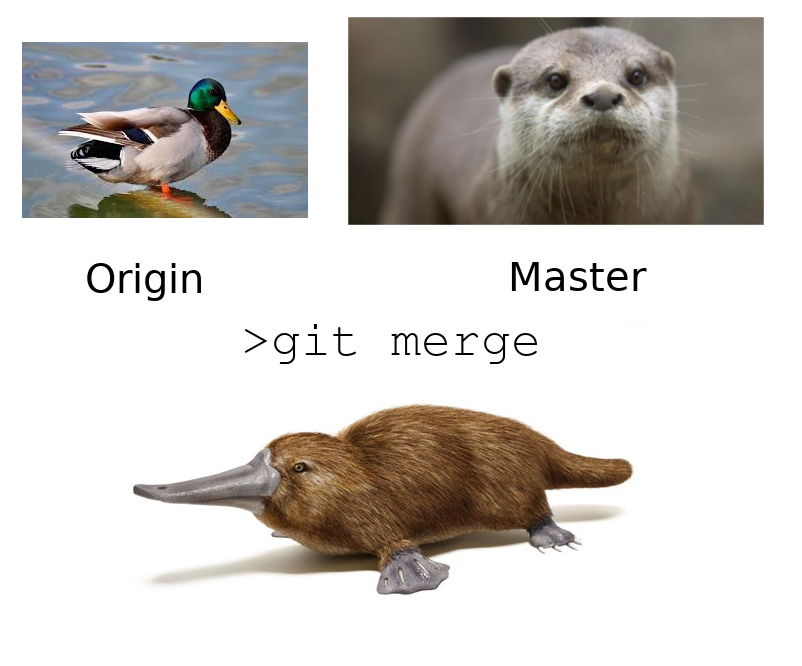 How to merge Git repositories and keep history | by AlexV | Medium