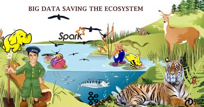 Big Data is Helping in Wildlife Conservation | by Sheetal Sharma | Medium