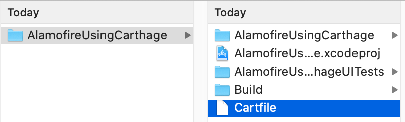 Install Framework Using Carthage There Are Other Ways Of Installing By Gurjinder Singh Medium