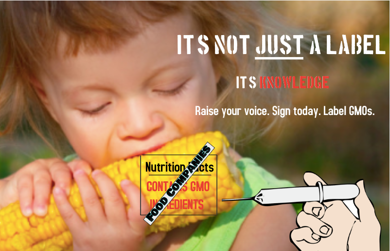 Genetically Modified Crops Poster