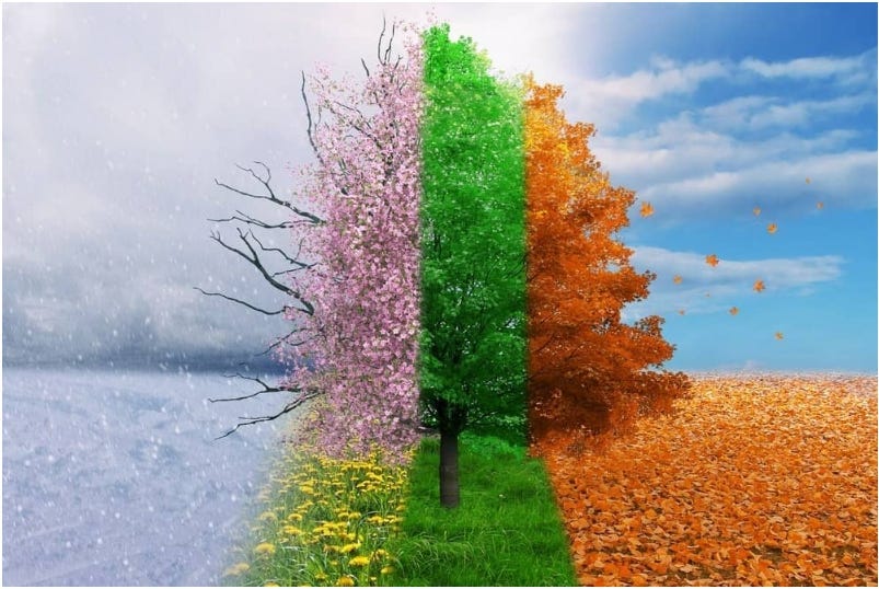 Why do We have Seasons?. Every child knows about the various… | by ...