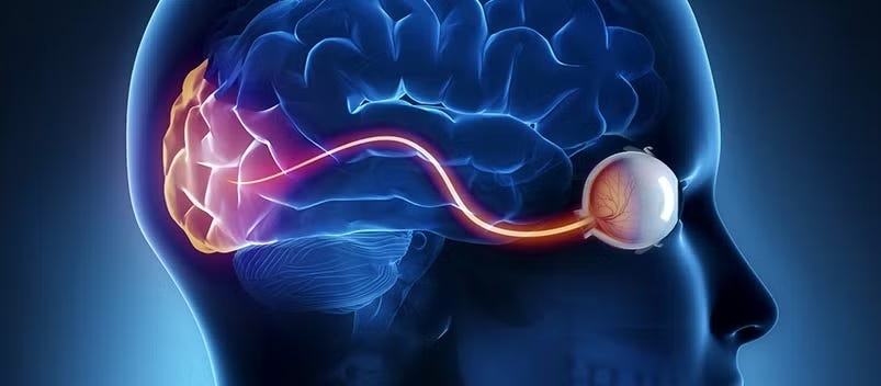 Why are VEPs performed?. Visual Evoked Potentials (VEPs) are… | by Dr ...