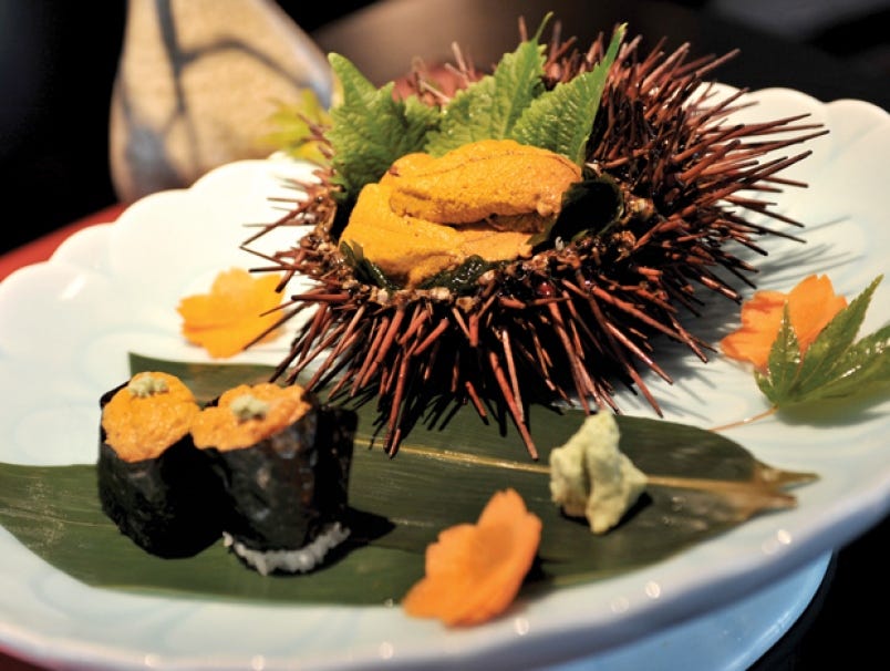 Urchin Sashimi