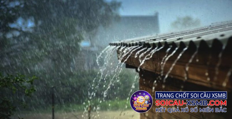 Ngủ mơ thấy mưa ướt nhà điềm báo điều gì đặc biệt? - Infosoicauxsmbcom ...