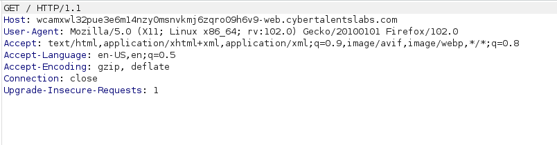 Secret Browser — Cybertalents CTF Writeup | by Salah Wahsh | Medium