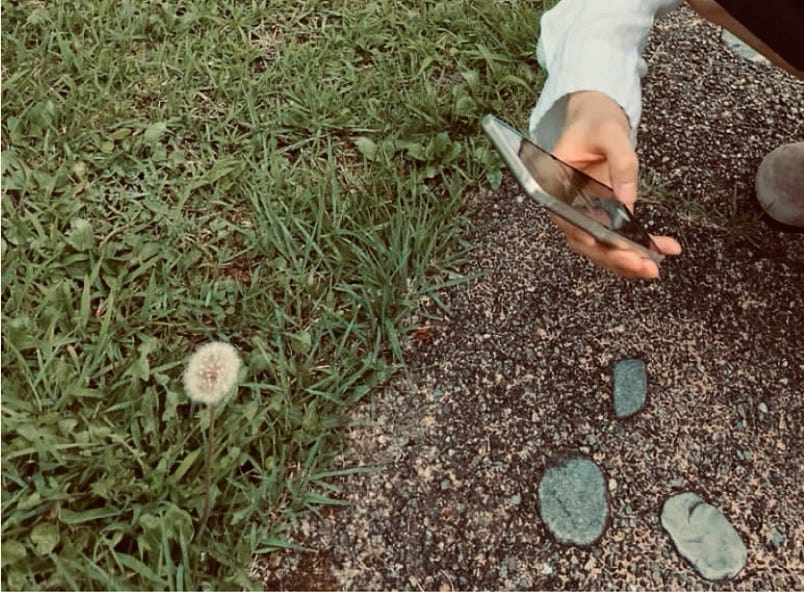 i hope our paths cross again. listen to paths by niki | by 💌 | Medium