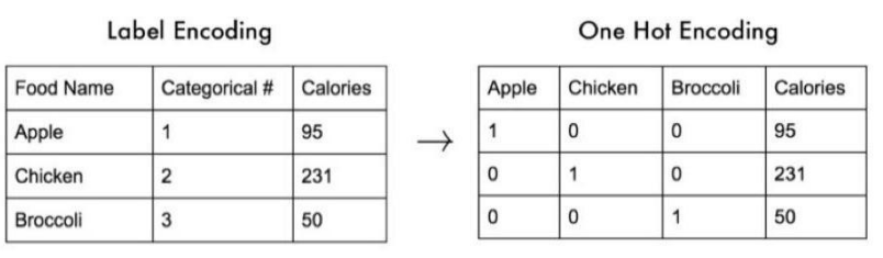 初學Python手記#3-資料前處理( Label encoding、 One hot encoding) | by Pat Huang | Medium