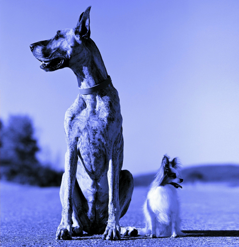 Why You Feel Like a Failure. How to defeat status anxiety | by Gage ...