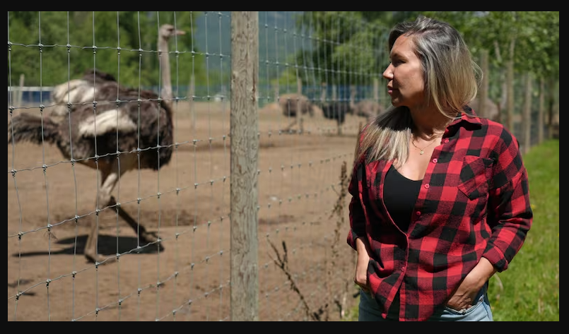 The Ostrich Crisis in Canada. A Battle Over Science, Ethics, and… | by ...
