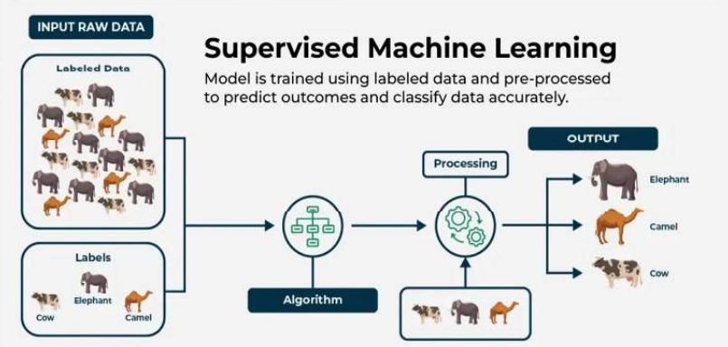 Understanding Machine Learning: A Comprehensive Guide to Supervised, Unsupervised, and ...