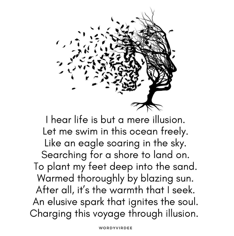 Illusion — A poem of life! - WordyVirdee - Medium