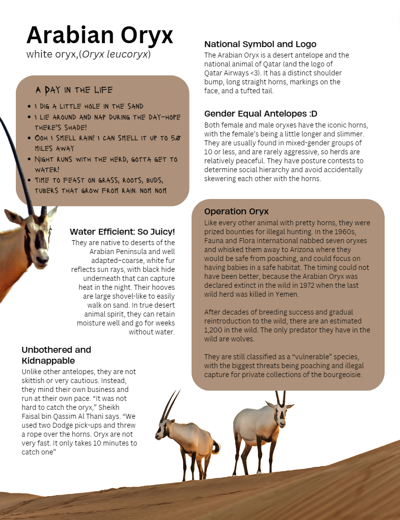 Project 3 — Animal: Illustration. Creating a poster for the Arabian ...