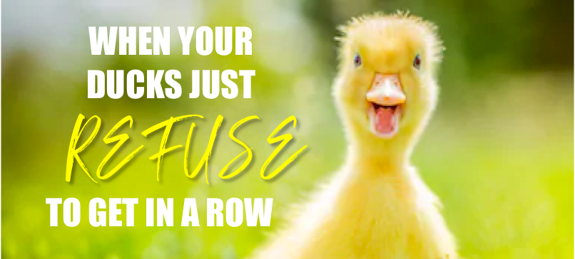 Pull Your Ducking Life Together. Have you ever set a goal for yourself ...