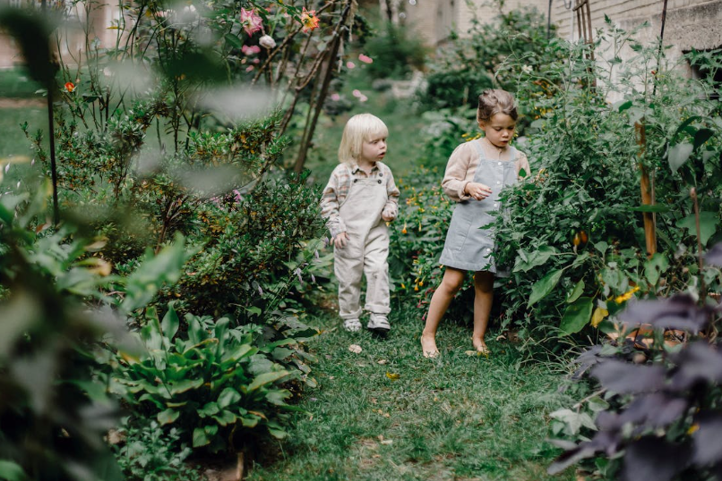 Change Your Yard into a Safe and Fun Haven for Kids and Pets | by Kandace Heller | Sep, 2024 ...