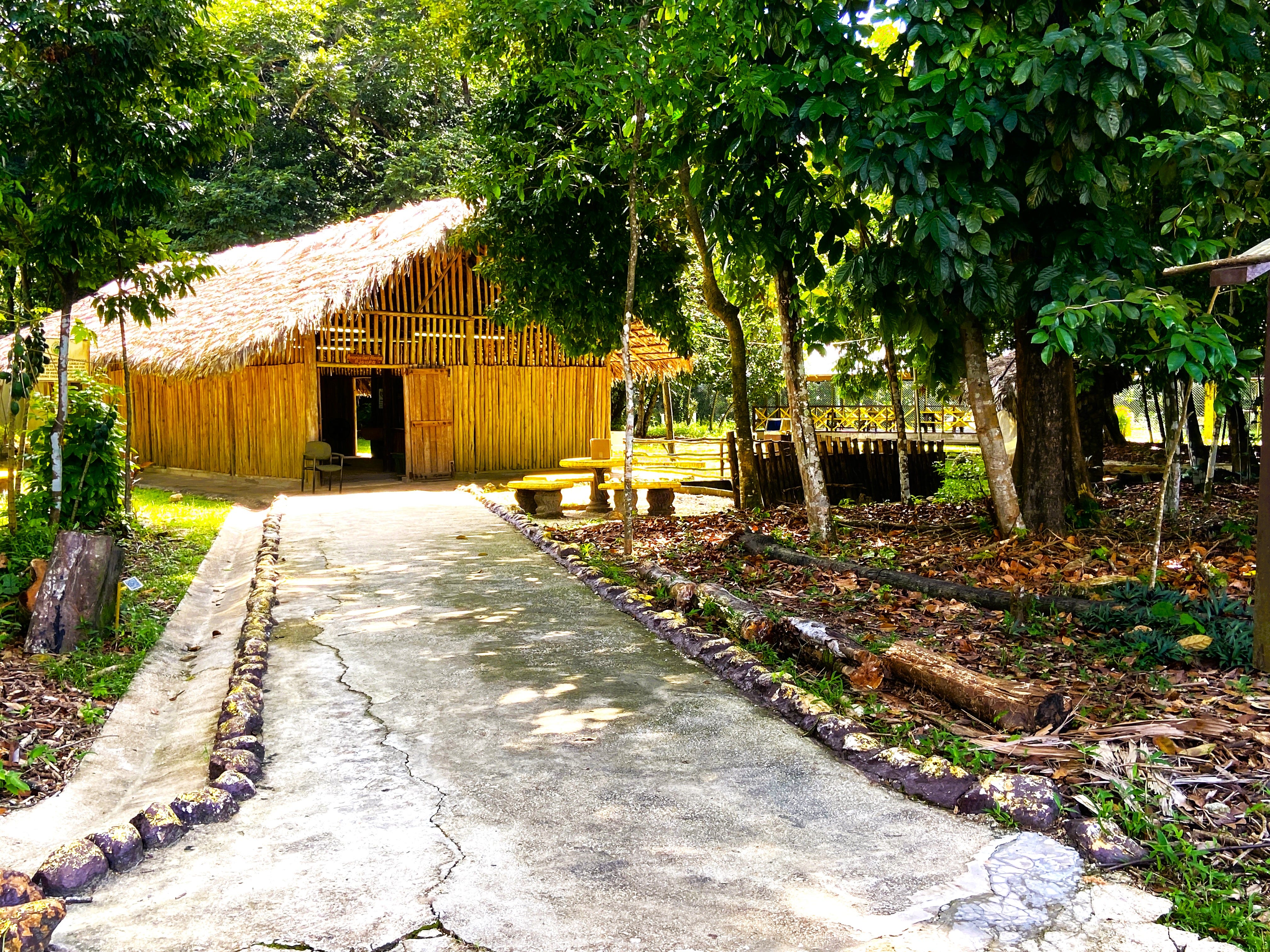 Caribs And Arawaks Houses