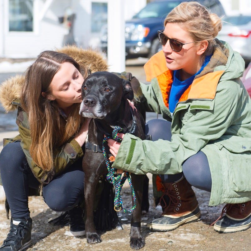 Meet the Raddest Girls in Animal Rescue | by Guy | Sniff & Barkens | Medium