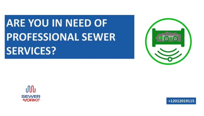 Welcome To Sewer Works - Arneta Rose - Medium