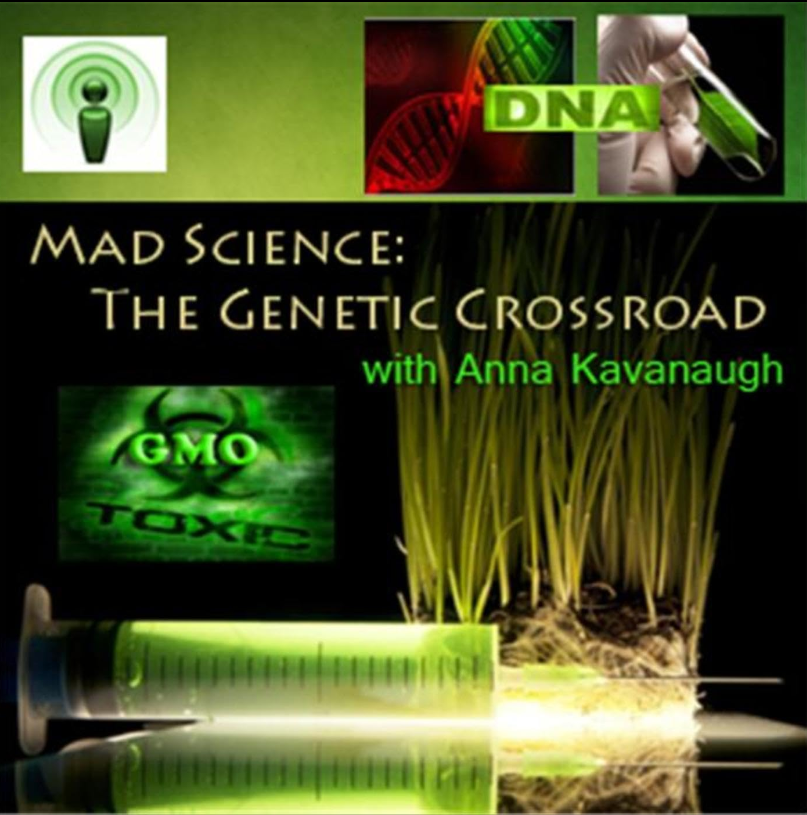 Writer Anna Kavanaugh commissioned to publish Third Edition Companion Guides Based on Original ...