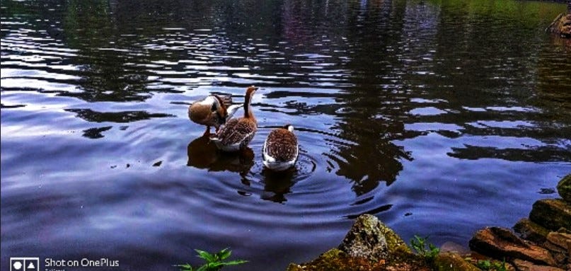 Find Your Own - Keerti - Medium