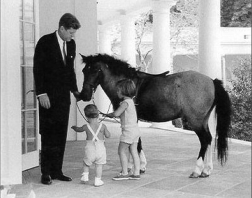 The Marketing of Presidential Pets | by Nancy Parish | Creatures | Medium