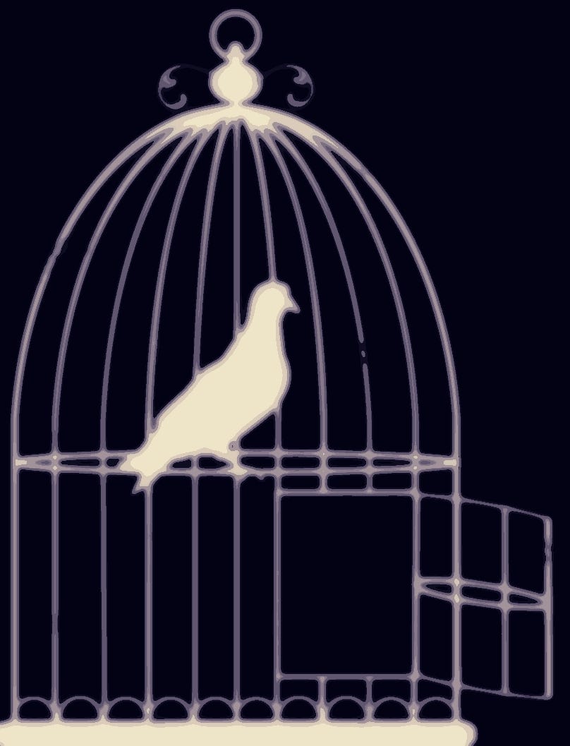 Foolish Bird. The sound of an ache In my catatonic… | by Ramya “Vinca ...
