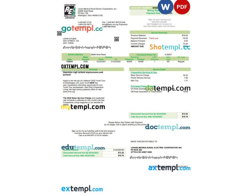 USA Ohio Lorain-Medina Rural Electric utility bill template in Word and ...