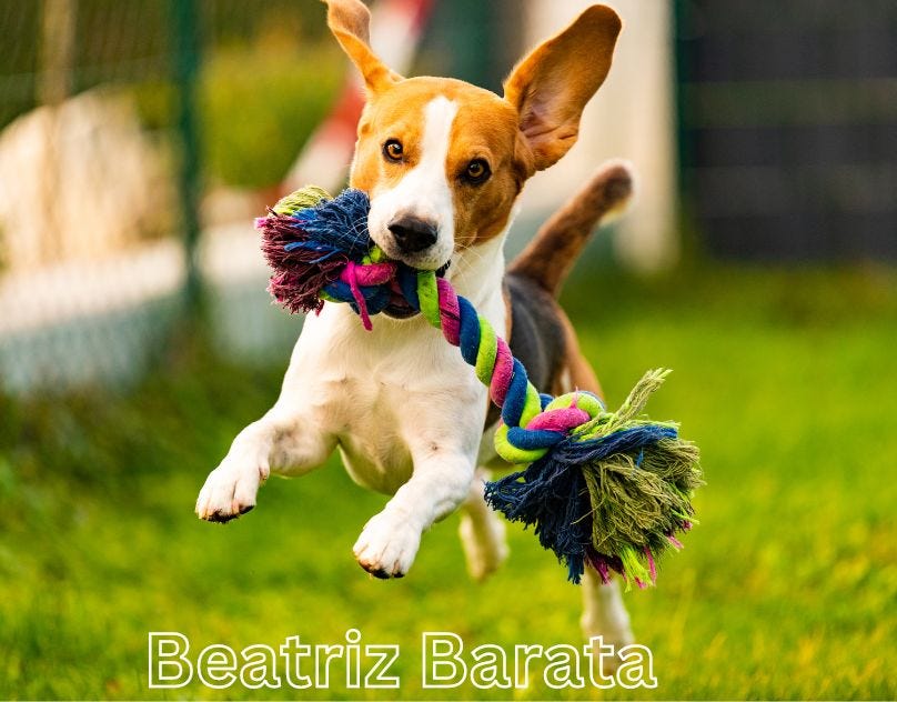 Beatriz Barata - Beatriz Barata - Medium