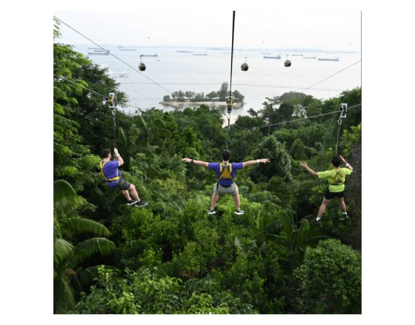 The Ultimate Guide to Mega Adventure Park: Thrills, Views, and ...