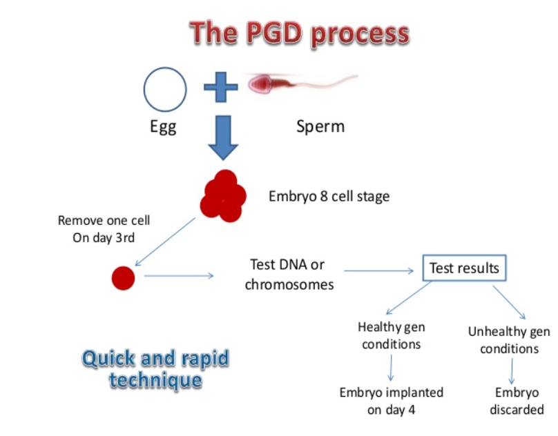 What Is Gender Selection With The Pgd Pgs Medium