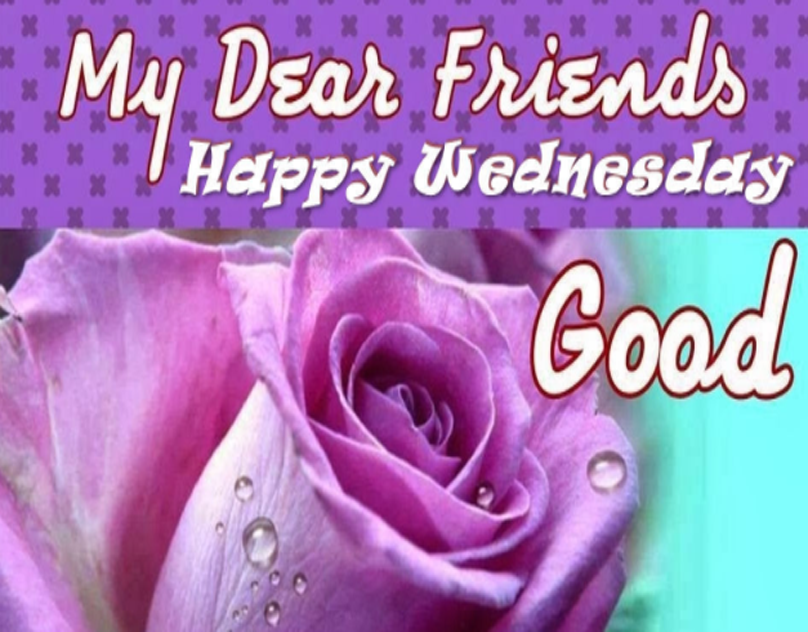 Happy Wednesday Morning Images Good Morning Happy Wednesday Premium