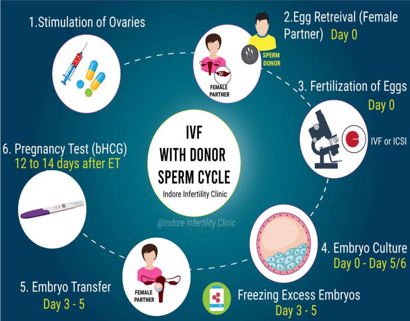 Exploring Donor Sperm Treatment in Mumbai with Dr. Manjushri Kothekar ...