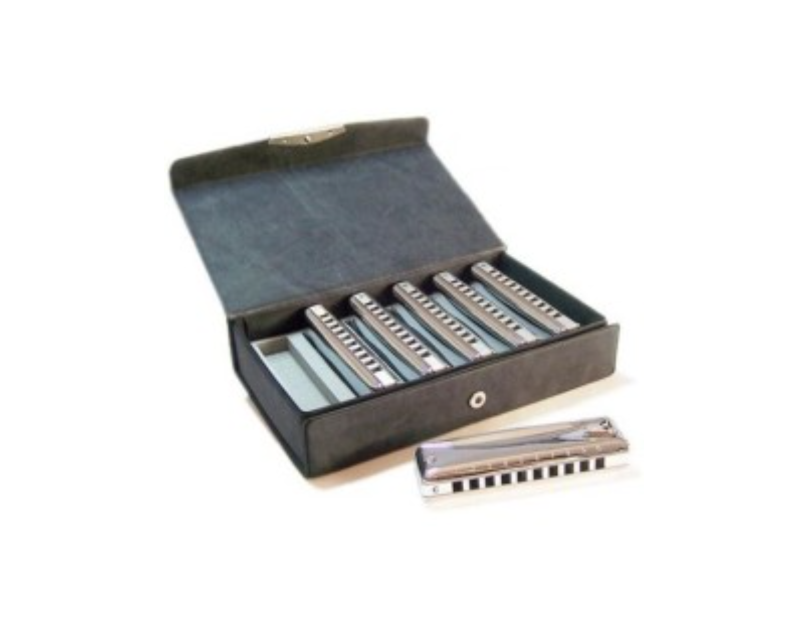 Shedding New Light on Playing the Harmonica for Beginners ...