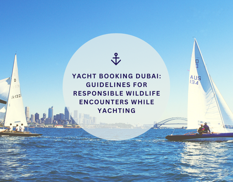 Yacht Booking Dubai: Guidelines for Responsible Wildlife Encounters While Yachting | by John ...