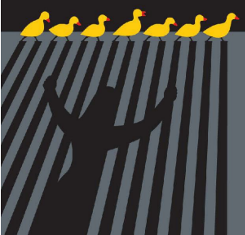 Quackers of Justice: The Duck-Drama Dilemma That Landed Emma in Hot ...