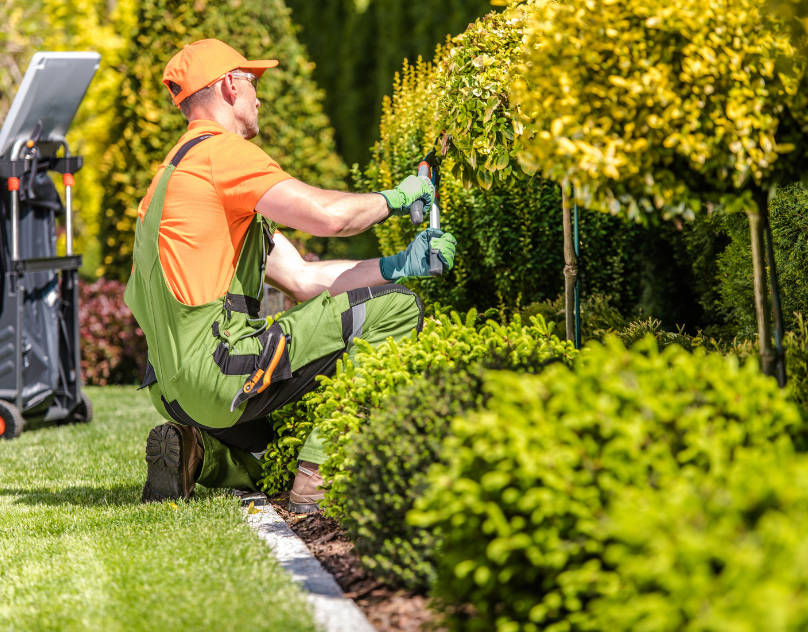 What Steps Do HOA Landscape Maintenance Companies Take To Prevent ...