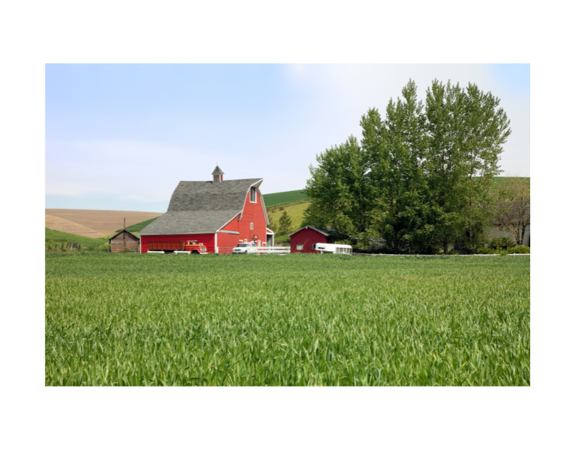Navigating the Terrain: Key Factors to Consider When Investing in ...