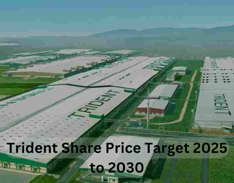 Trident Share Price Target 2024 2025 to 2030 | by Digitalshubham | Aug ...
