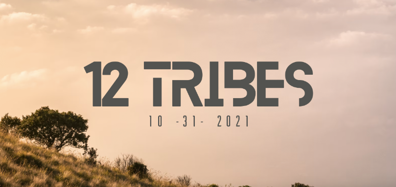 12 Tribes : Updates and Homesteading | by 12 Tribes | Medium