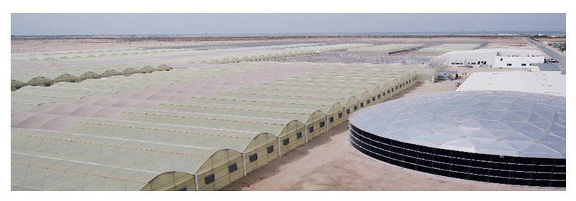 Benefits of High-Density Polyethylene Fabrication Installation | by ...