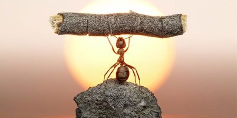 Leading in your Strength Zone. Never lose sight of what you’re great ...