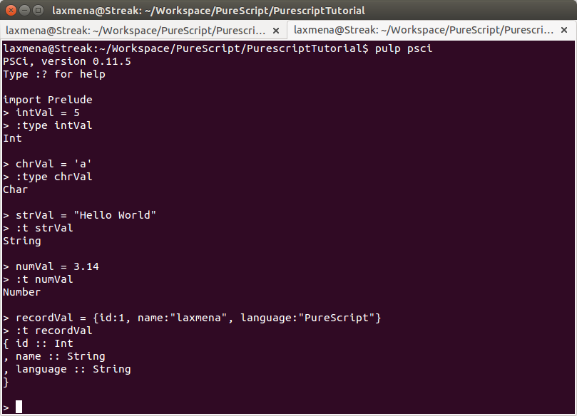 PureScript Types and Functions— Beginner Friendly Guide(Part 3) | by laxmena | Medium