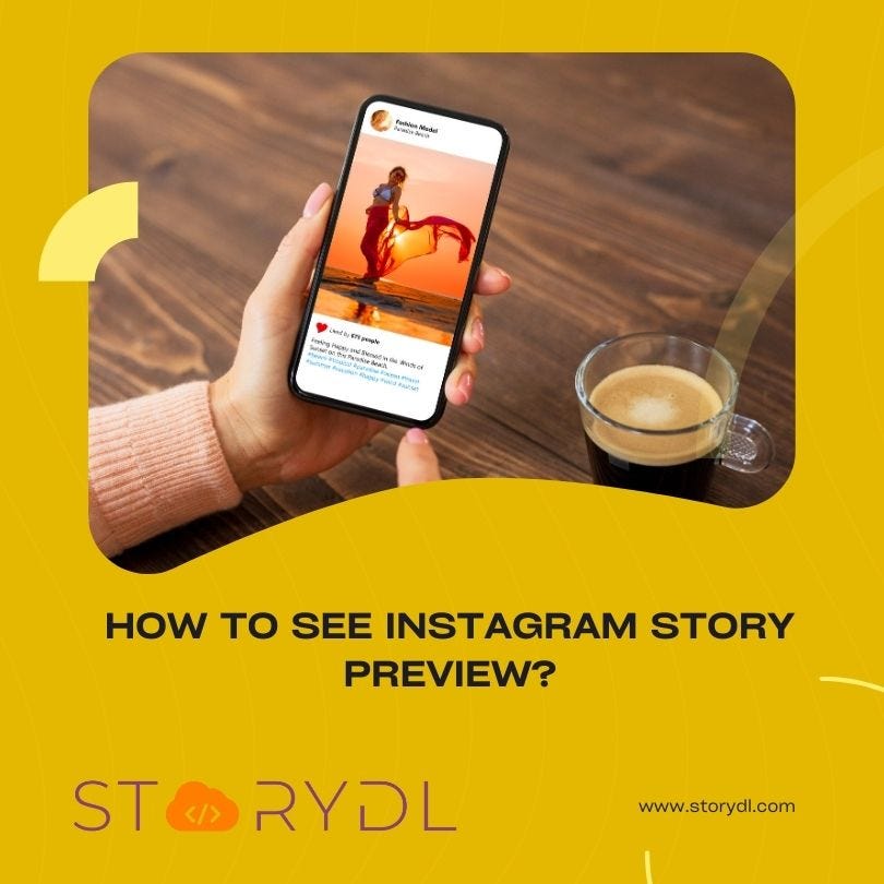 How To See Instagram Story Preview? | by Storydl.com | Medium