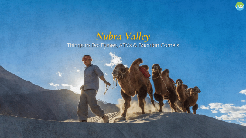 Things to Do in Nubra Valley. Nubra Valley is a captivating… | by ...